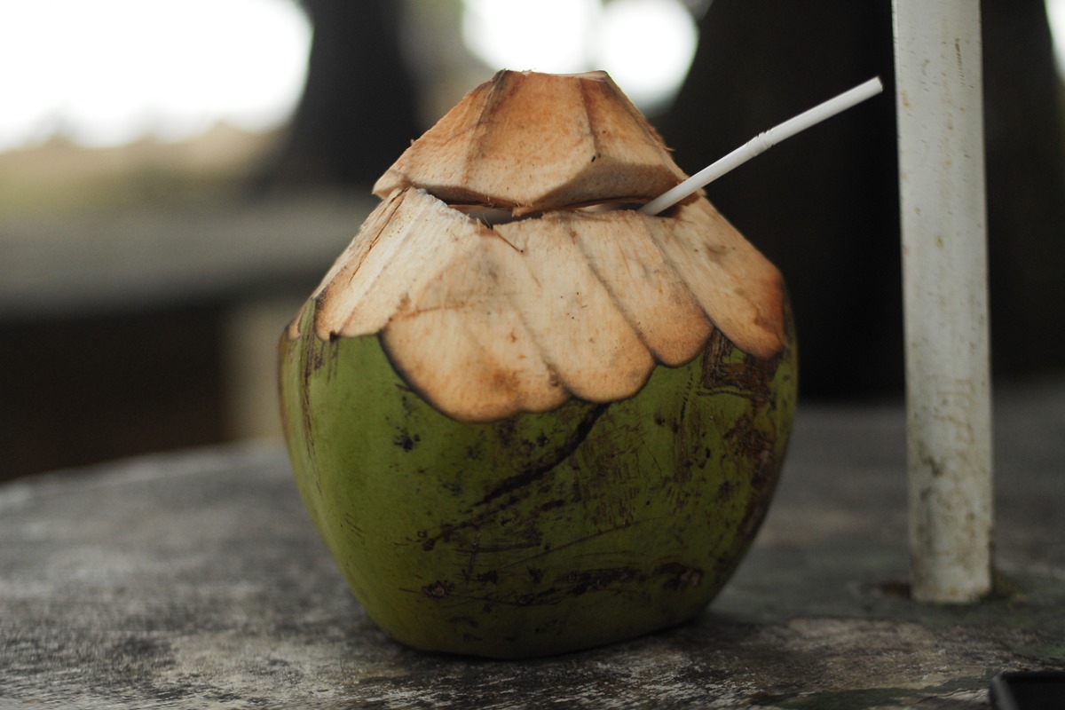 Homem morre depois de consumir água de coco podre. Entenda os riscos ...