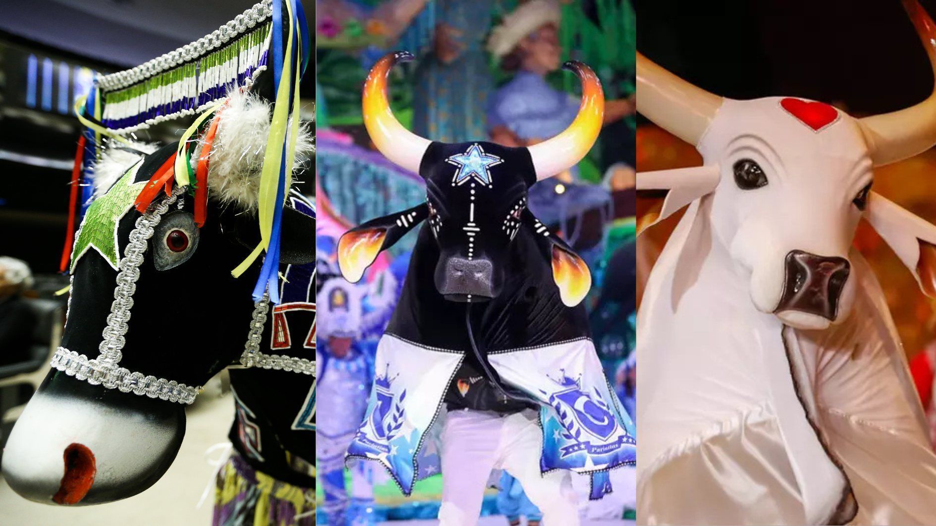 Entenda as diferenças entre o Boi-Bumbá e o Bumba Meu Boi - O SERINGAL